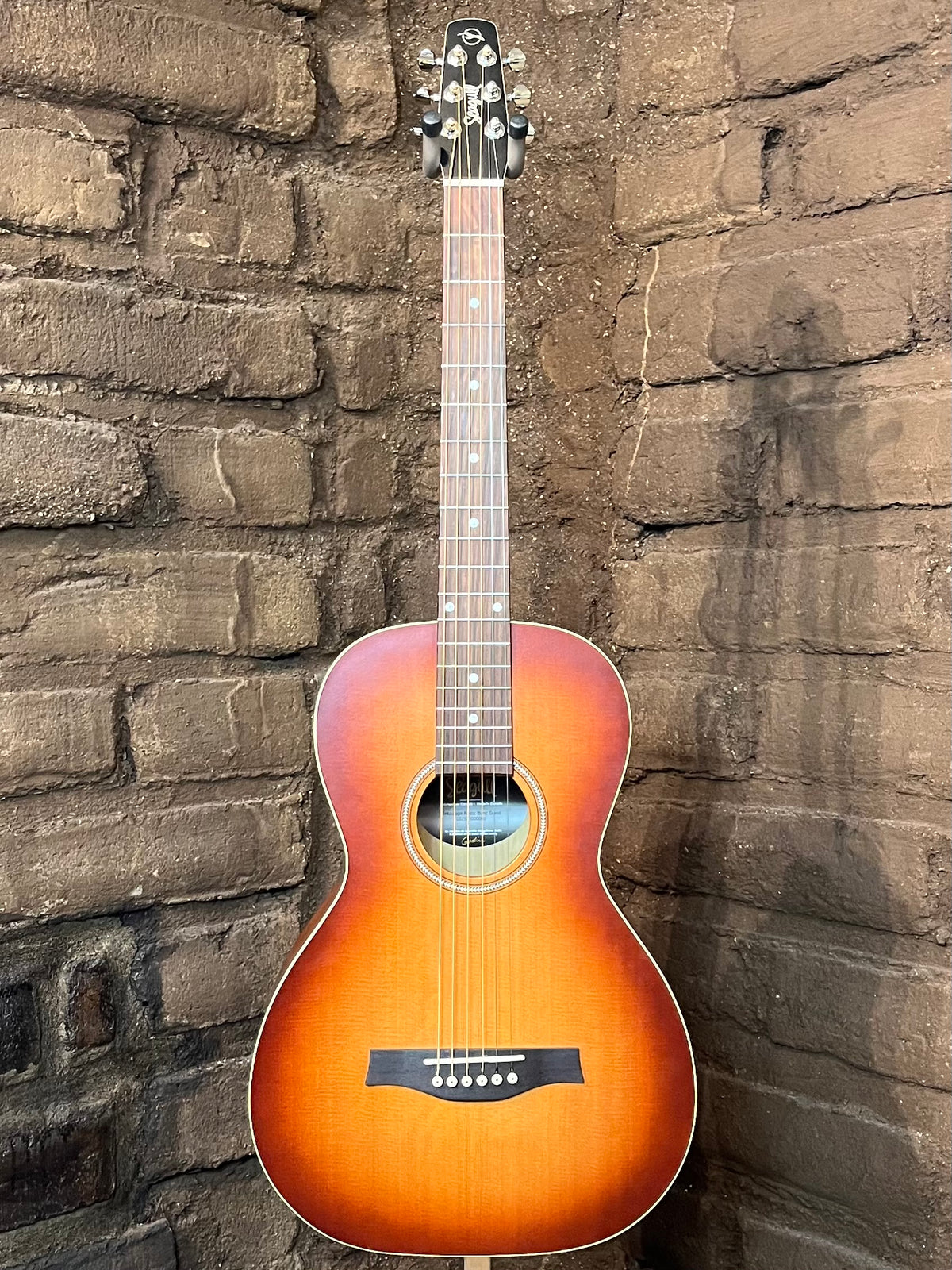 Seagull Entourage Rustic Burst Grand (New)| Black Mountain Guitar Co